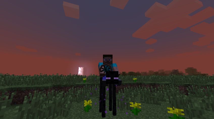 Animal Bikes - Enderman Bike - Noppes' minecraft mods